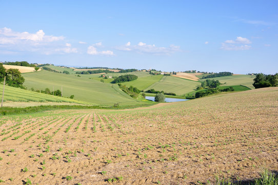 Cocase Images – Browse 1 Stock Photos, Vectors, and Video | Adobe Stock