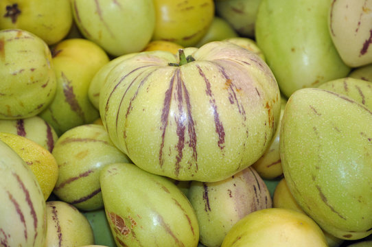 รูปภาพPapino – เลือกดูภาพถ่ายสต็อก เวกเตอร์ และวิดีโอ12 | Adobe Stock