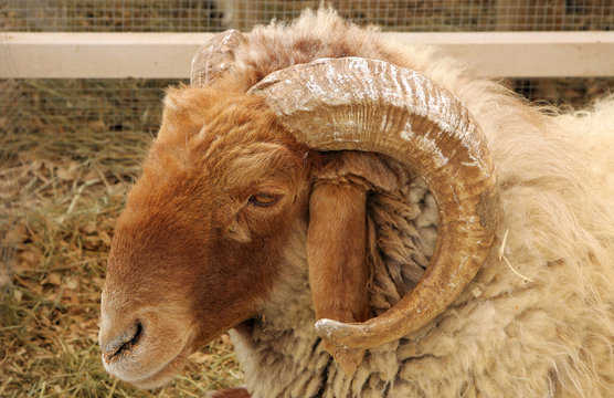 รูปภาพAwassi – เลือกดูภาพถ่ายสต็อก เวกเตอร์ และวิดีโอ314 | Adobe Stock