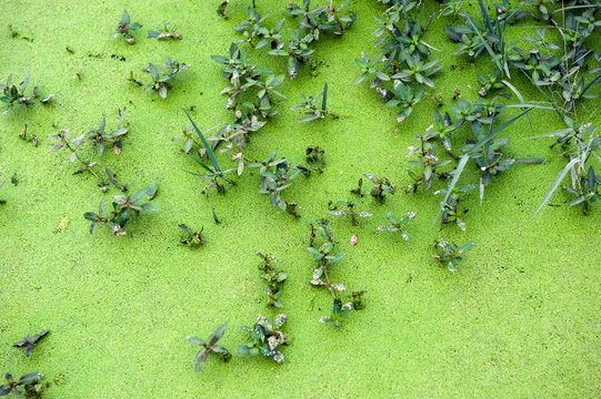 Cesspit Images – Browse 1,783 Stock Photos, Vectors, and Video | Adobe ...