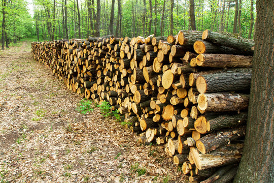 รูปภาพLogaritm – เลือกดูภาพถ่ายสต็อก เวกเตอร์ และวิดีโอ47,932 | Adobe Stock