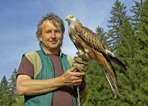 Imágenes de Falkner: descubre bancos de fotos, ilustraciones, vectores ...