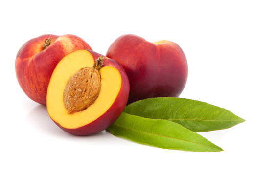 264 BEST Brugnons IMAGES, STOCK PHOTOS & VECTORS | Adobe Stock