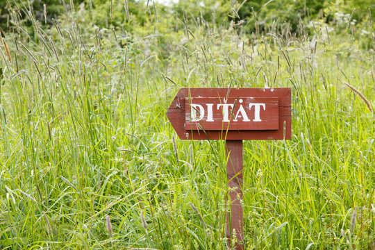 Dorthin Images – Browse 50 Stock Photos, Vectors, and Video | Adobe Stock