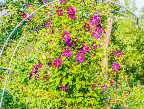 Klimatis Images – Browse 53 Stock Photos, Vectors, and Video | Adobe Stock