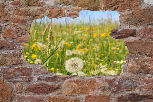 「Ausbrechen」の写真素材 | 1,173件の無料イラスト画像 | Adobe Stock