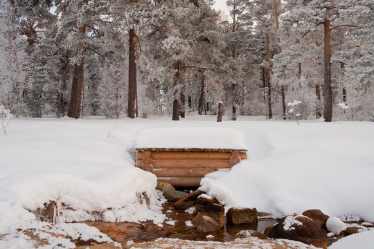 Finter-Bilder: Stock-Fotos & -Videos. | Adobe Stock