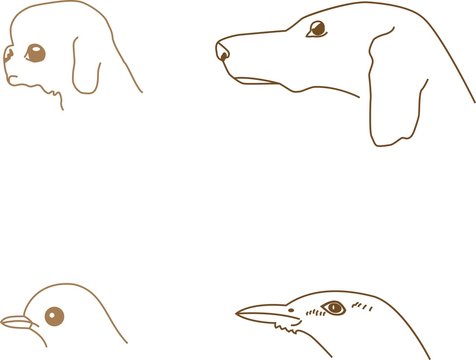 Kindchenschema 画像 - 参照 636 Stock 写真、ベクターおよびビデオ | Adobe Stock