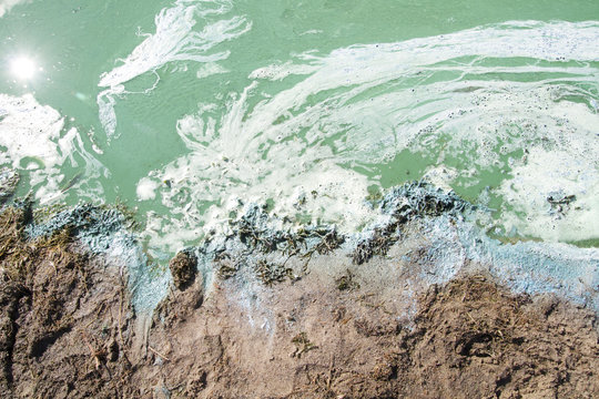 Hypertrophication Bilder – Durchsuchen 2,628 Archivfotos ...