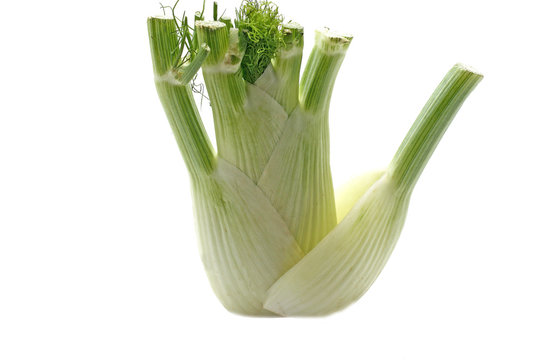 「Fenouil」の画像 - 1,284 件の Stock 写真、ベクターおよびビデオ | Adobe Stock