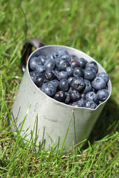 Blechtopf Images – Browse 63 Stock Photos, Vectors, and Video | Adobe Stock