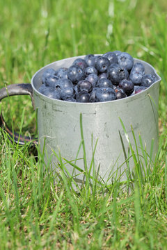 Blechtopf Images – Browse 63 Stock Photos, Vectors, and Video | Adobe Stock