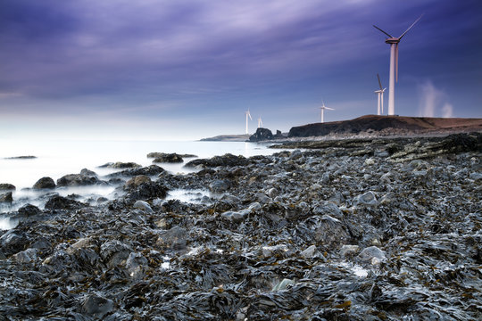 รูปภาพ"Solway Firth" – เลือกดูภาพถ่ายสต็อก เวกเตอร์ และวิดีโอ132 ...