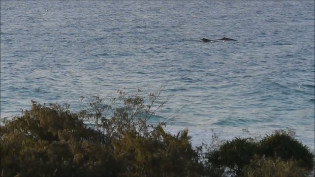 รูปภาพFurchenwale – เลือกดูภาพถ่ายสต็อก เวกเตอร์ และวิดีโอ25 | Adobe Stock