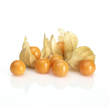 「Judenkirsche」の写真素材 | 382件の無料イラスト画像 | Adobe Stock