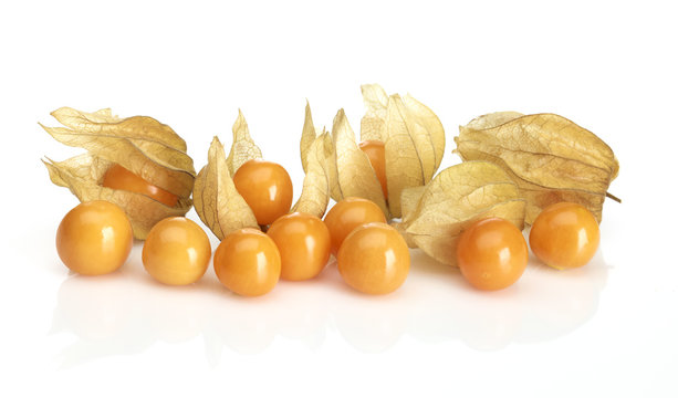 「Judenkirsche」の画像 - 352 件の Stock 写真、ベクターおよびビデオ | Adobe Stock