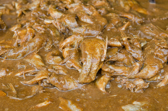 Pla-Ra Images – Browse 177 Stock Photos, Vectors, and Video | Adobe Stock