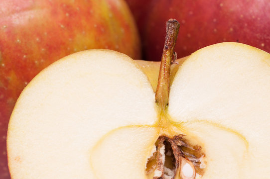 Apfelkern Images – Browse 210 Stock Photos, Vectors, and Video | Adobe ...