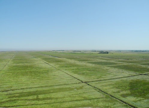 รูปภาพMarschland – เลือกดูภาพถ่ายสต็อก เวกเตอร์ และวิดีโอ677 | Adobe Stock