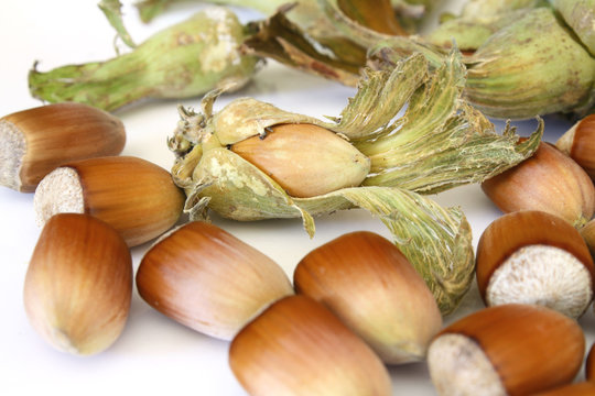 รูปภาพ"Taze – เลือกดูภาพถ่ายสต็อก เวกเตอร์ และวิดีโอ10,579 | Adobe Stock