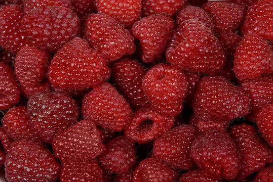 "Raspberry Background" Images – Browse 304 Stock Photos, Vectors, and ...
