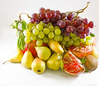รูปภาพ"Frutti – เลือกดูภาพถ่ายสต็อก เวกเตอร์ และวิดีโอ20,624 | Adobe Stock