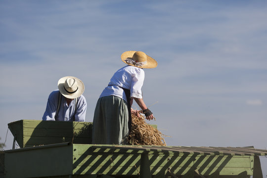 รูปภาพDreschen – เลือกดูภาพถ่ายสต็อก เวกเตอร์ และวิดีโอ1,369 | Adobe Stock