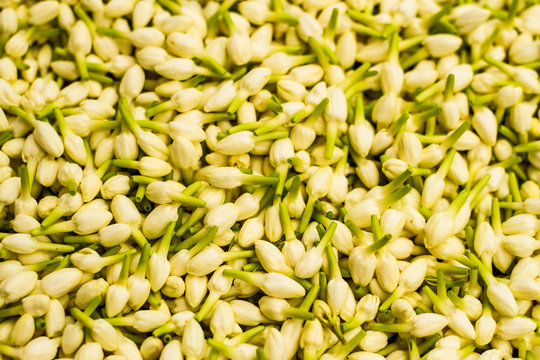 Exoras Images – Browse 29 Stock Photos, Vectors, and Video | Adobe Stock