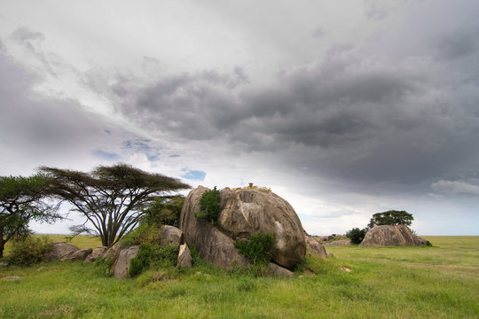 รูปภาพInselberg – เลือกดูภาพถ่ายสต็อก เวกเตอร์ และวิดีโอ3,495 | Adobe Stock