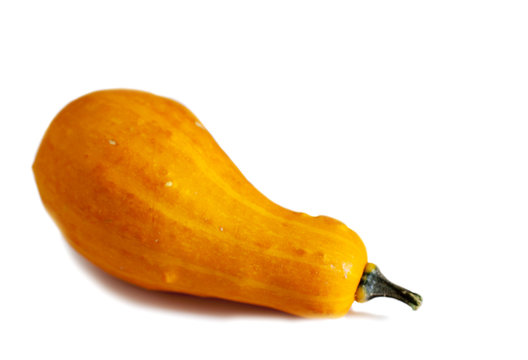 Coloquinte Images – Browse 695 Stock Photos, Vectors, and Video | Adobe ...