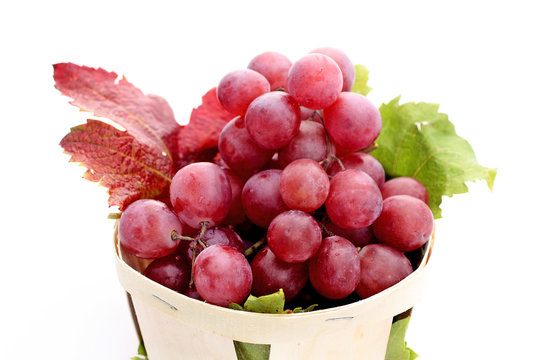 รูปภาพ"Raisin Rose" – เลือกดูภาพถ่ายสต็อก เวกเตอร์ และวิดีโอ100 | Adobe ...