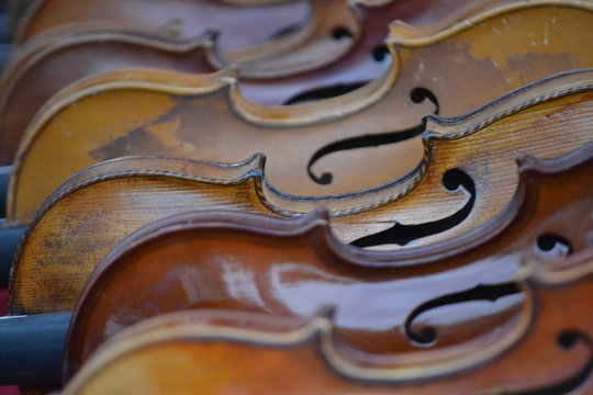 รูปภาพGeigen – เลือกดูภาพถ่ายสต็อก เวกเตอร์ และวิดีโอ533 | Adobe Stock