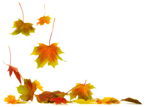 "Falling Leaves" Images – Browse 26,662 Stock Photos, Vectors, and ...