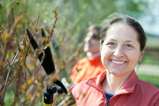 Arboret bilder – Bläddra bland 906 stockfoton, vektorer och videor ...