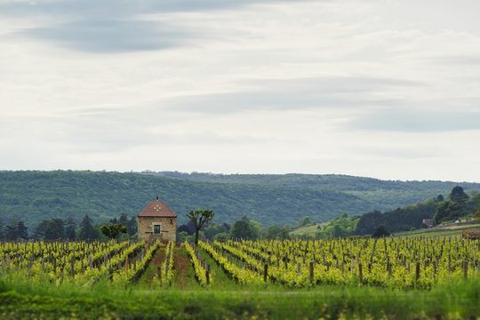 Imágenes de Cabotte: descubre bancos de fotos, ilustraciones, vectores ...