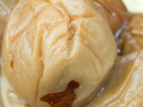 Umezuke Images – Browse 9 Stock Photos, Vectors, and Video | Adobe Stock