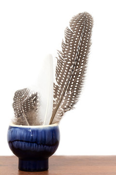 Ink-Pot Images – Browse 595 Stock Photos, Vectors, and Video | Adobe Stock