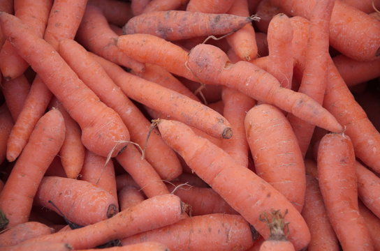 รูปภาพRipely – เลือกดูภาพถ่ายสต็อก เวกเตอร์ และวิดีโอ130 | Adobe Stock