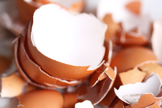 รูปภาพEierschale – เลือกดูภาพถ่ายสต็อก เวกเตอร์ และวิดีโอ13,703 | Adobe ...