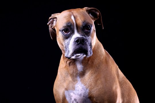 「Vorbiss」の画像 - 26 件の Stock 写真、ベクターおよびビデオ | Adobe Stock