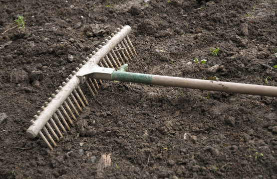 Imágenes de Rechen: descubre bancos de fotos, ilustraciones, vectores y ...