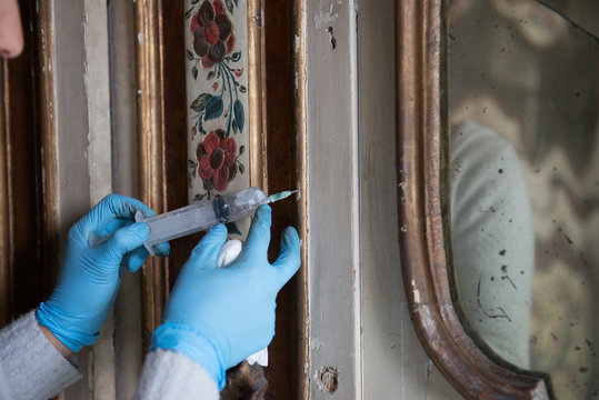 "Colla Bilder – Durchsuchen 1,215 Archivfotos, Vektorgrafiken und ...