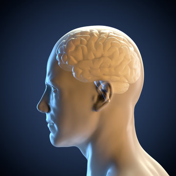 รูปภาพ"Kopf – เลือกดูภาพถ่ายสต็อก เวกเตอร์ และวิดีโอ223,870 | Adobe Stock