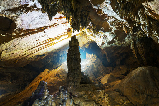 Geosmine Bilder – Durchsuchen 978 Archivfotos, Vektorgrafiken und ...