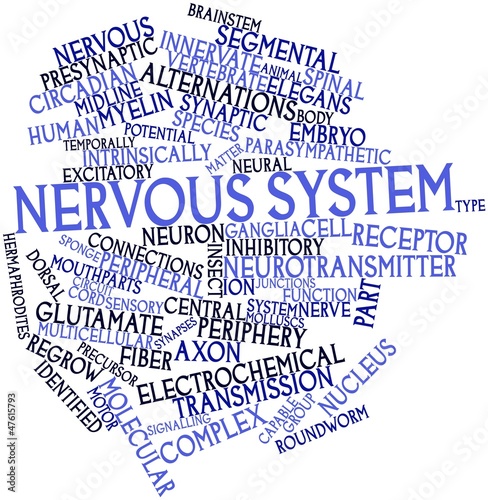 "Word cloud for Nervous system" Stock photo and royalty-free images on ...
