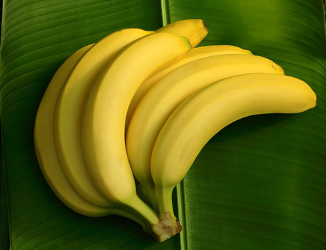 "Hand Of Bananas"-Bilder: Stock-Fotos & -Videos. | Adobe Stock