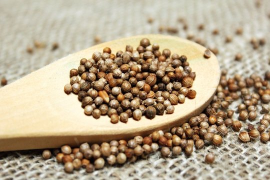 Koreander Images – Browse 91 Stock Photos, Vectors, and Video | Adobe Stock