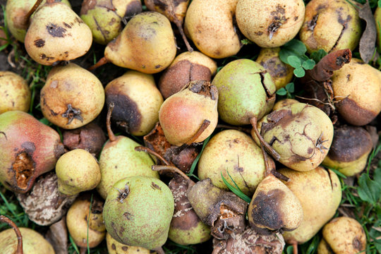 Vergeuden Bilder – Durchsuchen 119 Archivfotos, Vektorgrafiken und ...