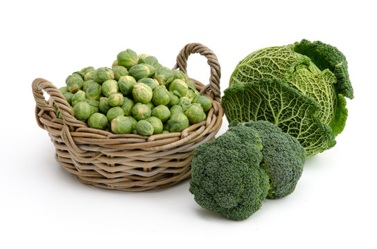 Kohlarten Images – Browse 73 Stock Photos, Vectors, and Video | Adobe Stock