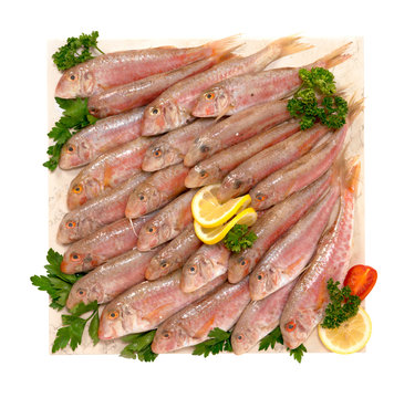 รูปภาพTriglia – เลือกดูภาพถ่ายสต็อก เวกเตอร์ และวิดีโอ518 | Adobe Stock